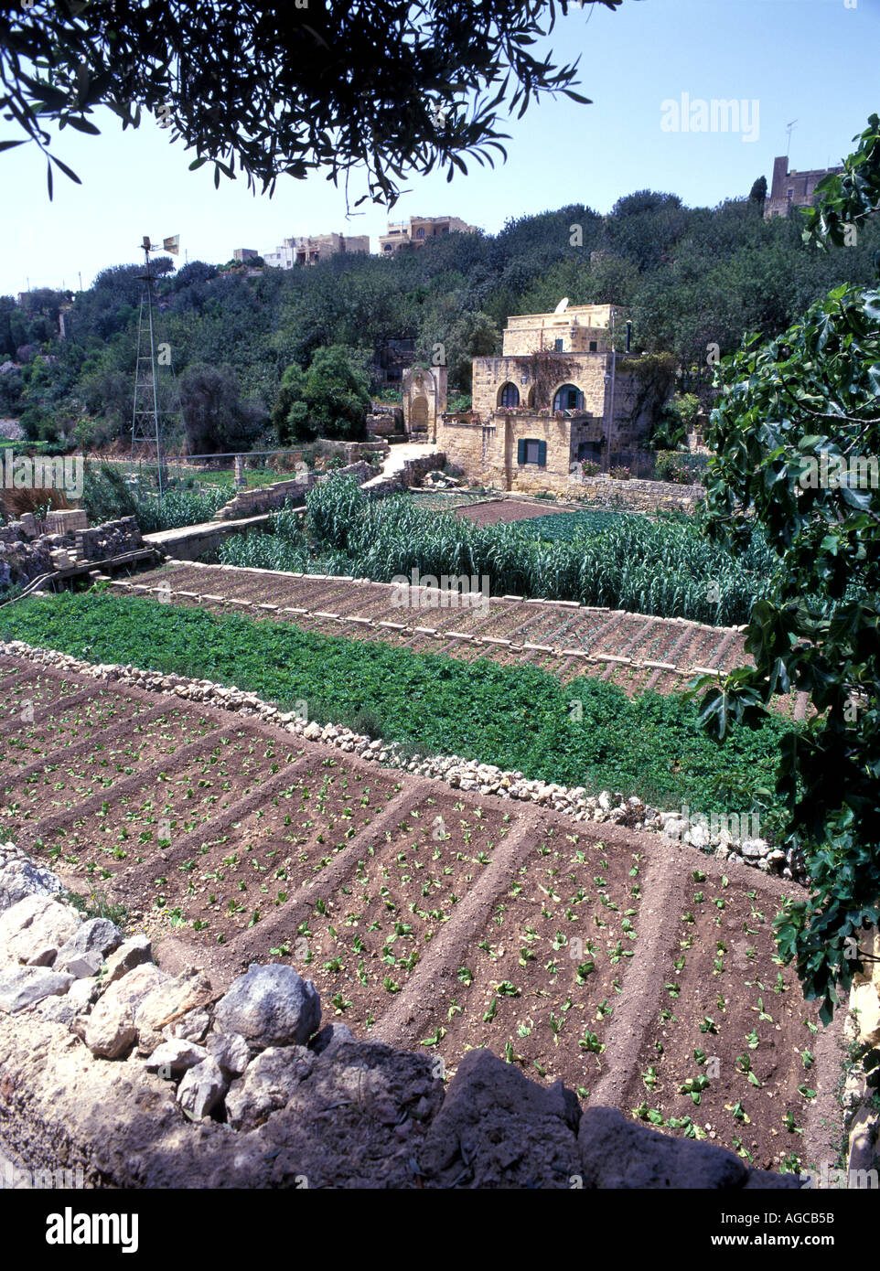Farmland in Malta Stock Photo - Alamy