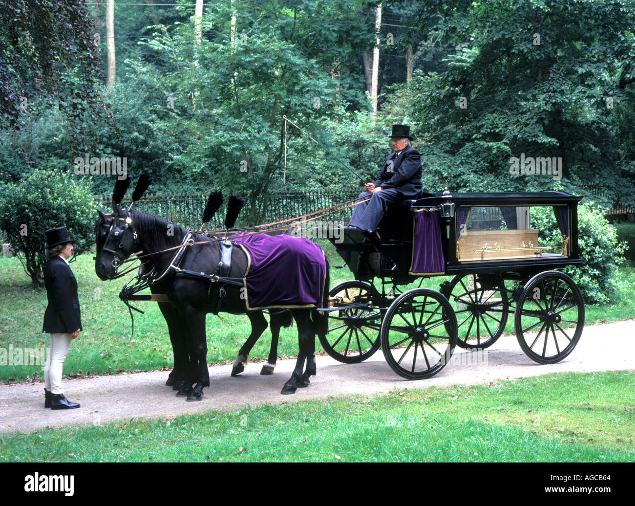 Funeral horse uk] hi-res stock photography and images - Alamy