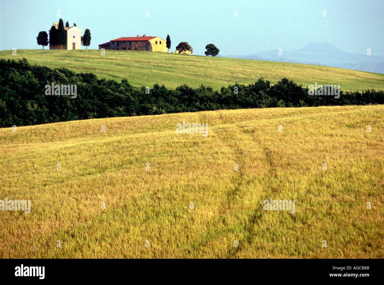 Europe Italy Tuscany landscape farm wheat Stock Photo - Alamy
