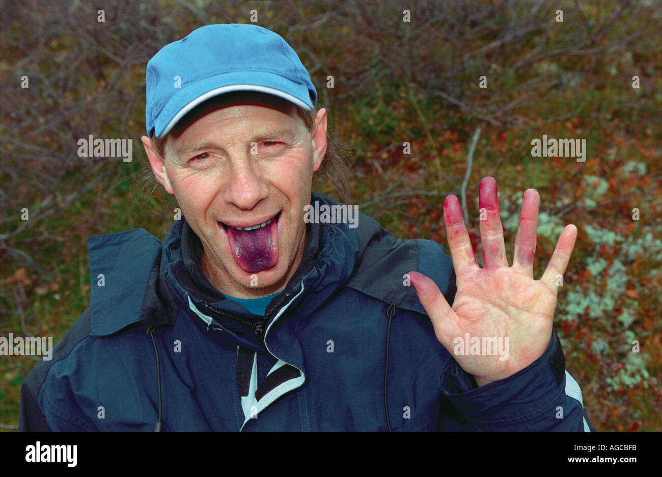 Man Sticks Out His Tongue High Resolution Stock Photography and Images ...