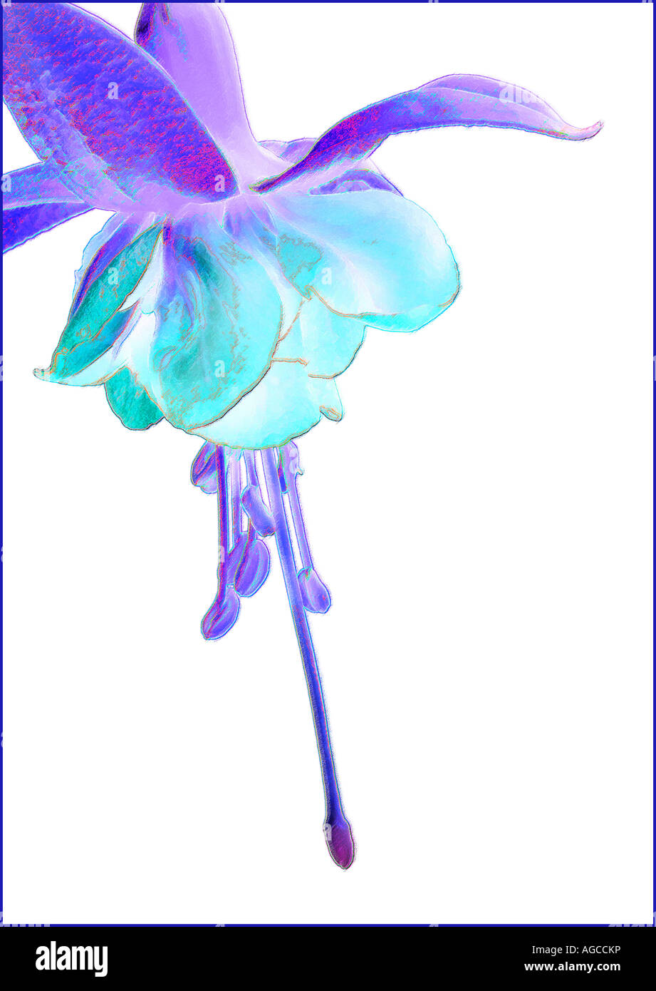 Cyan to white Cut Out Stock Images & Pictures - Alamy