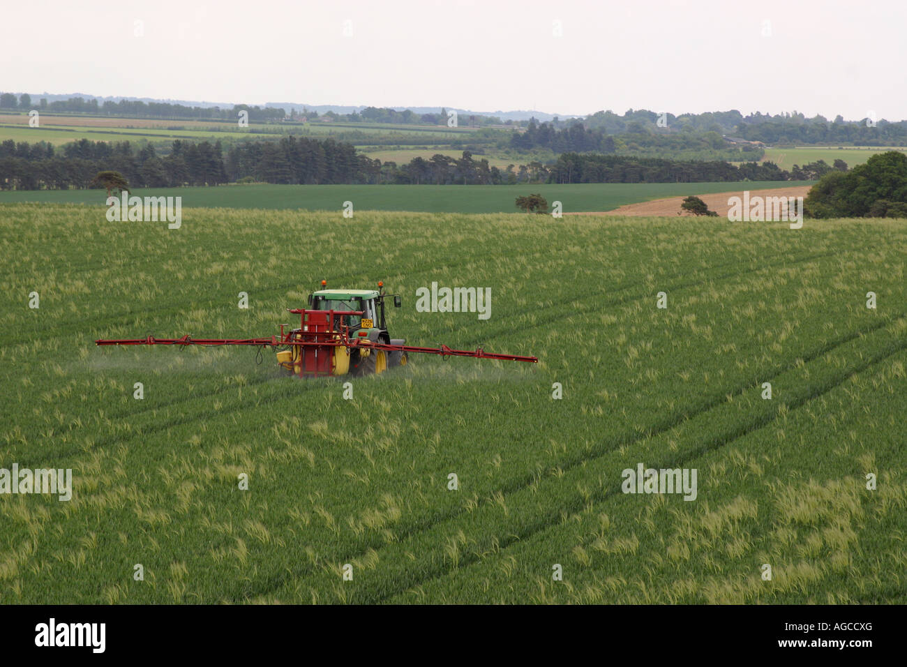 Tractor spraying a cereal field in a Breckland landscape Stock Photo ...