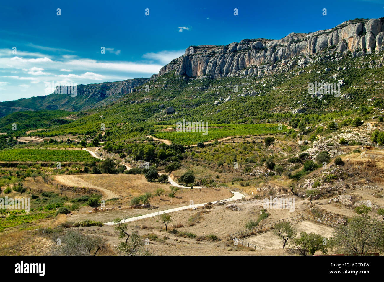 Priorat montsant hi-res stock photography and images - Alamy
