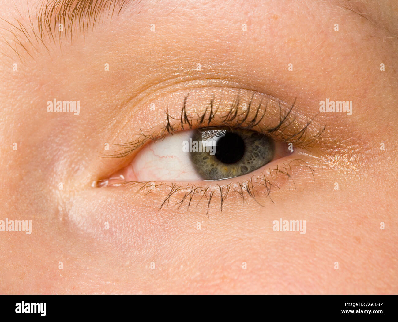 Cloe-up of a female's eye Stock Photo - Alamy