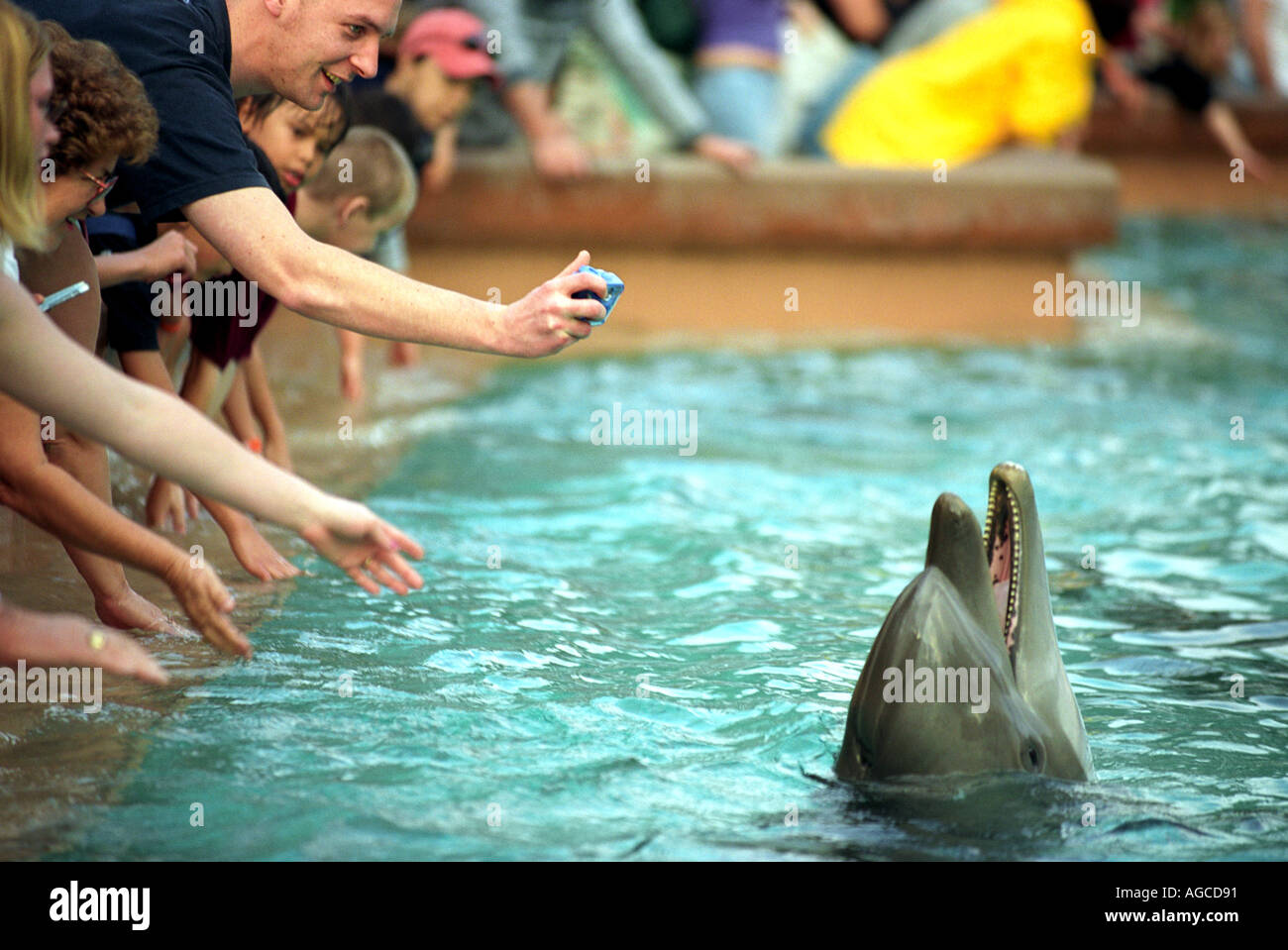 Show entertain visitor parks horizontal camera photo hi-res stock ...