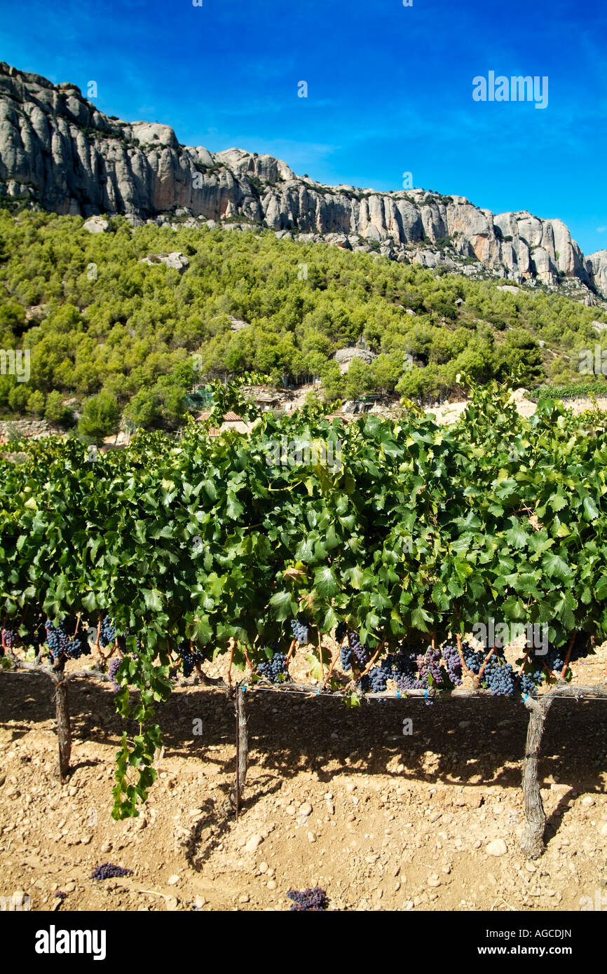 Montsant mountains hi-res stock photography and images - Alamy