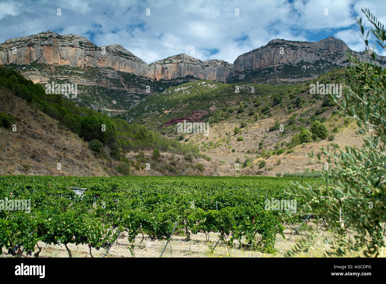 Montsant mountains hi-res stock photography and images - Alamy