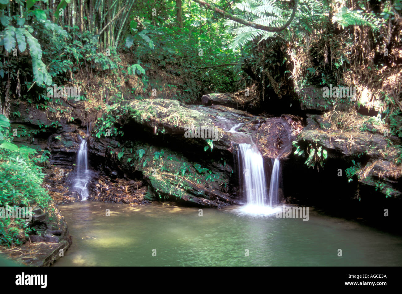 Trinidad waterfall hi-res stock photography and images - Alamy