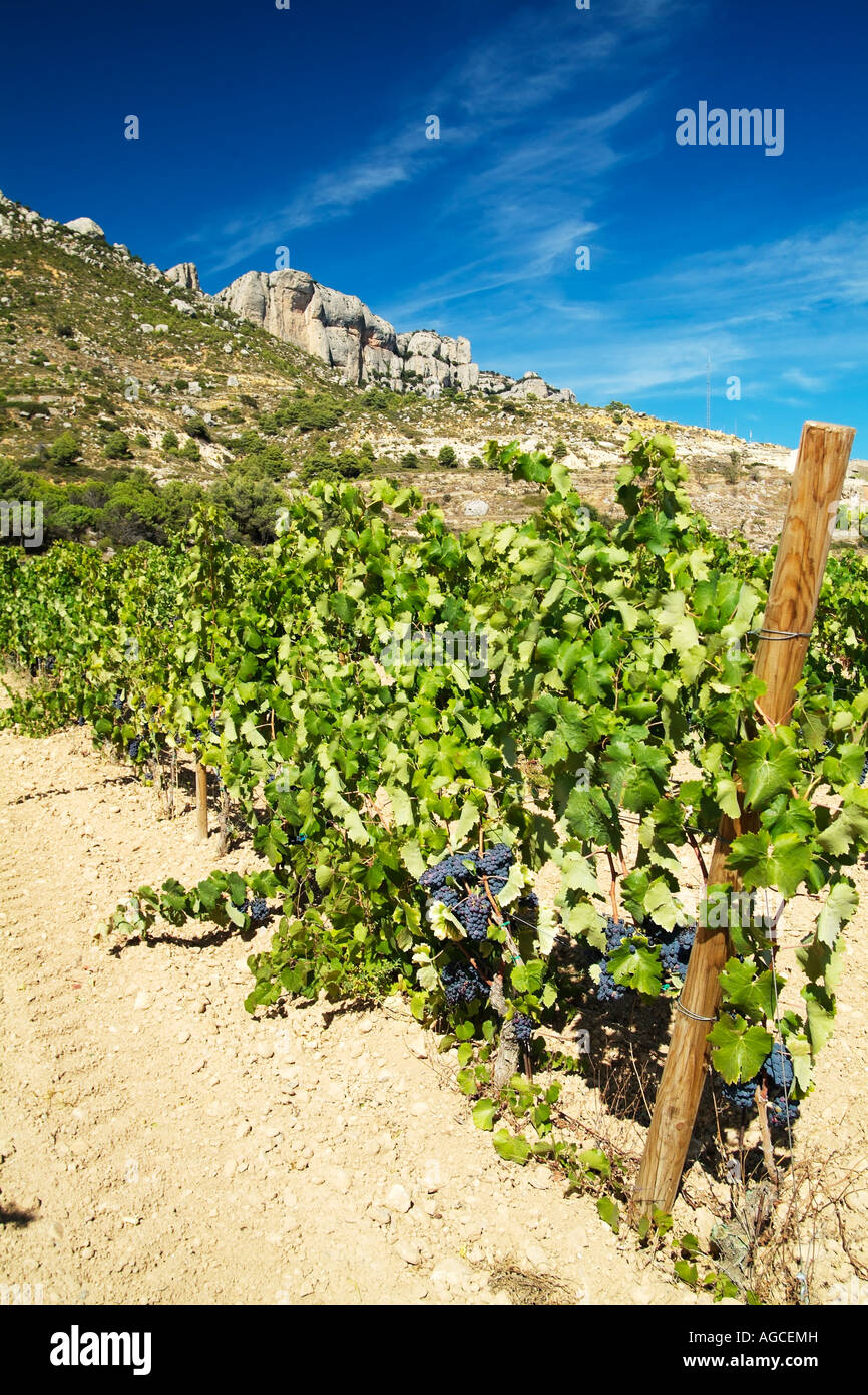 Montsant mountains hi-res stock photography and images - Alamy