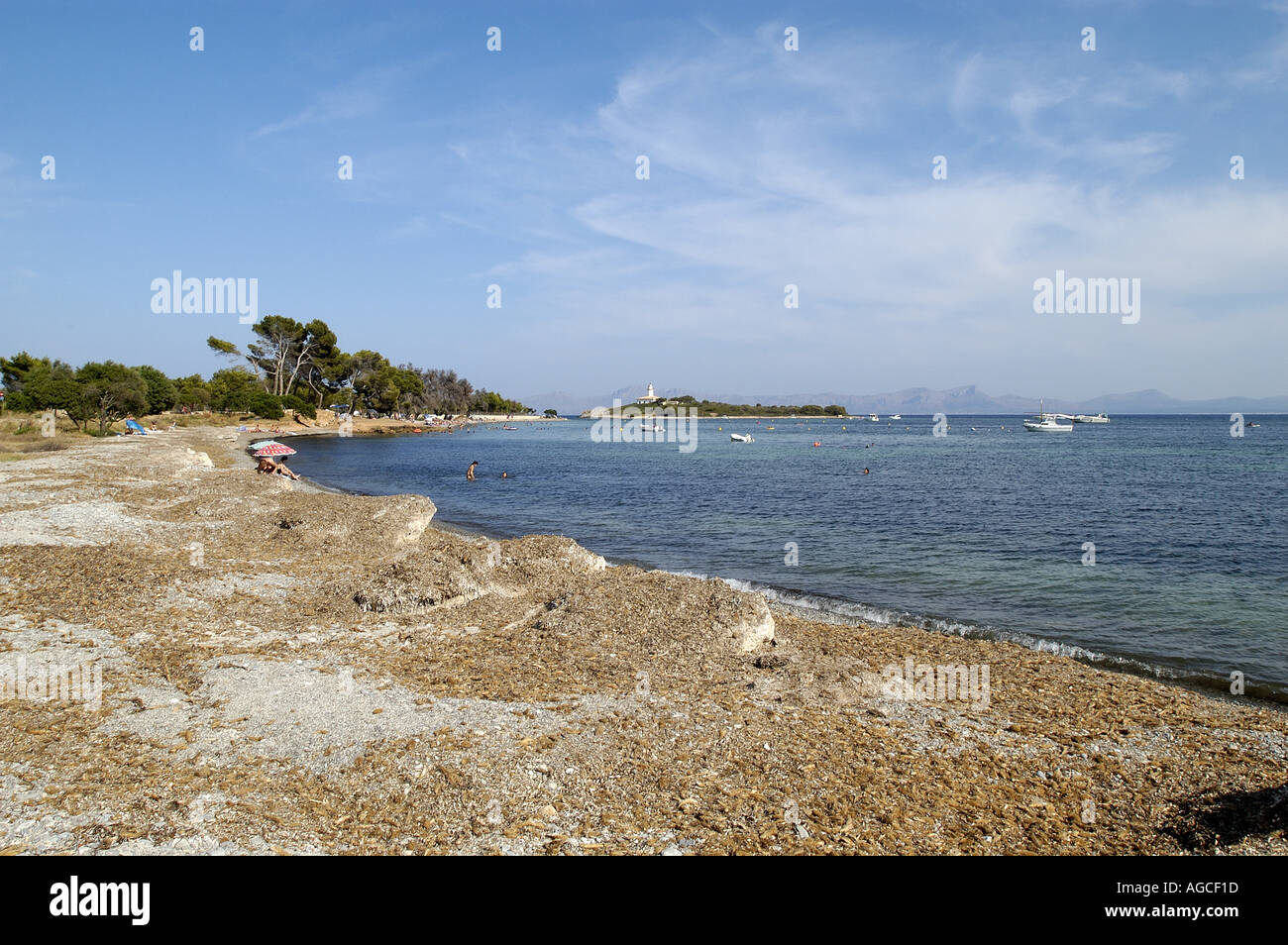 Alcanada Alcudia Bay Mallorca Majorca Spain Europe Mediterranean Stock ...