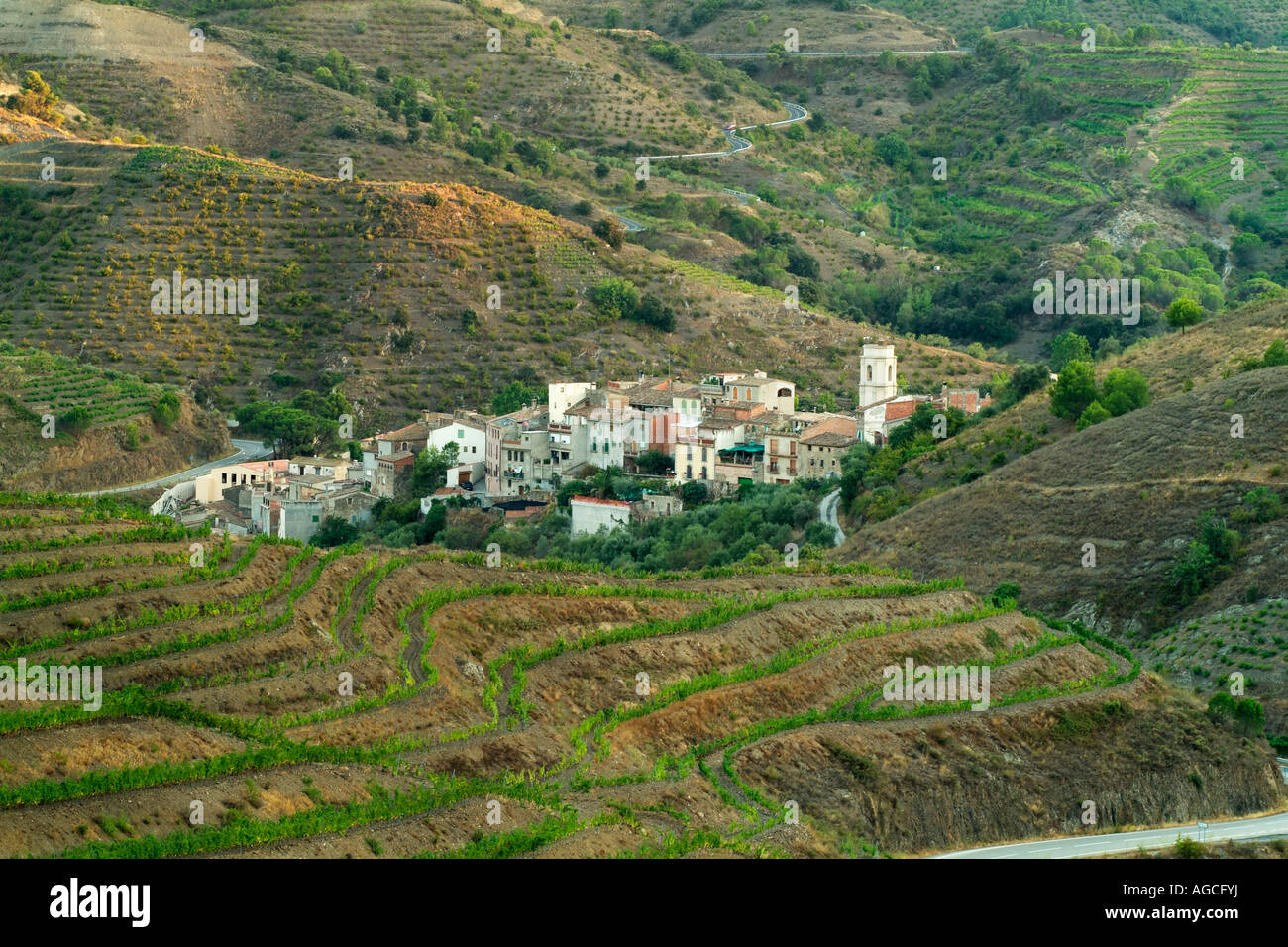 Porrera hi-res stock photography and images - Alamy