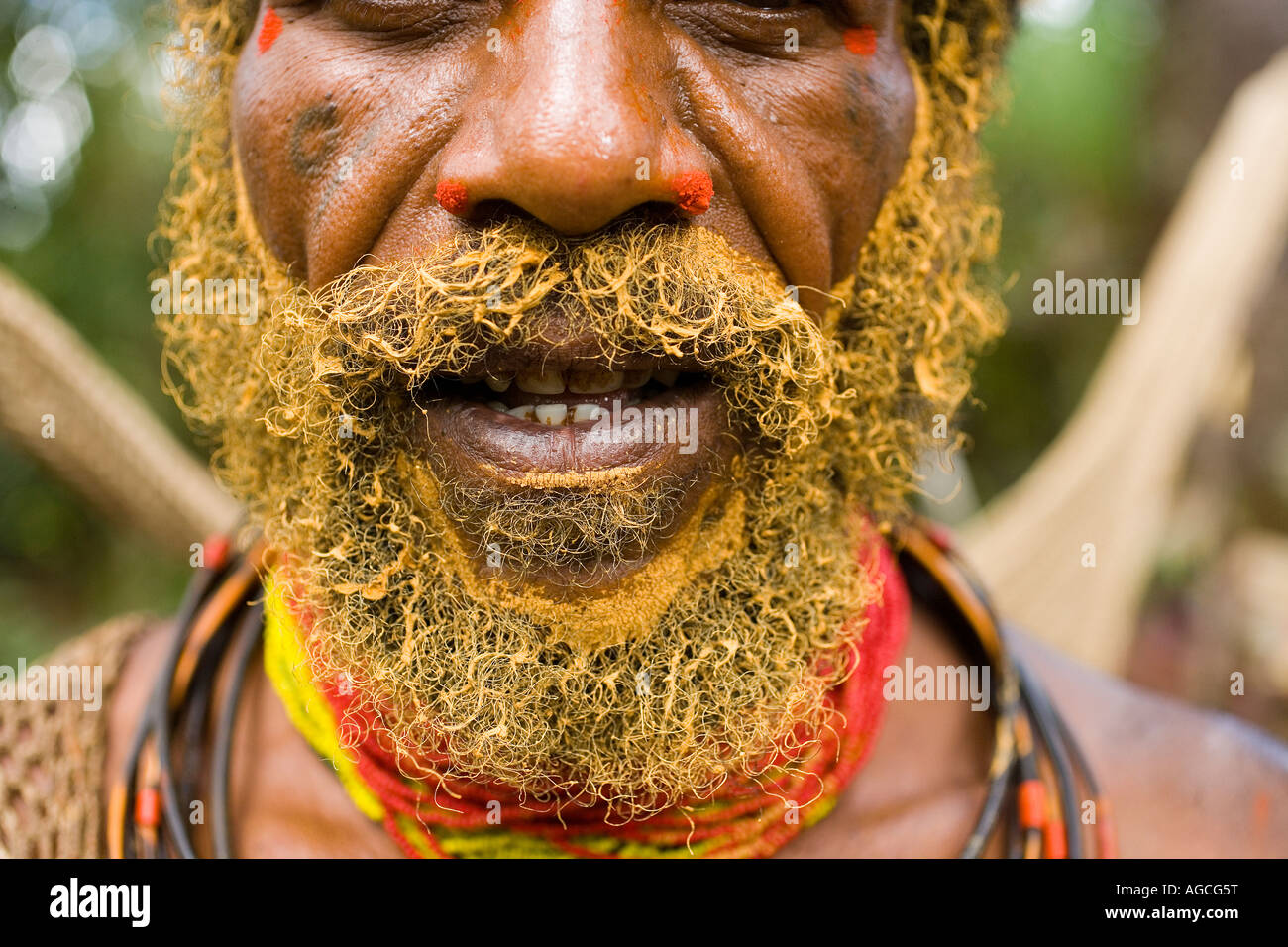 Huli tribesman, the Highlands, Papua New Guinea Stock Photo - Alamy