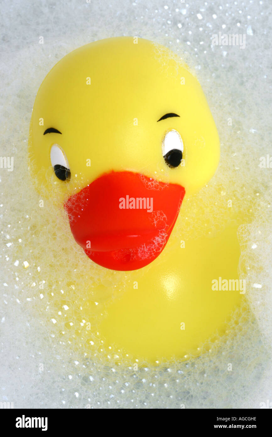 A single yellow rubber duck floating In the bubbles of bubble bath foam ...