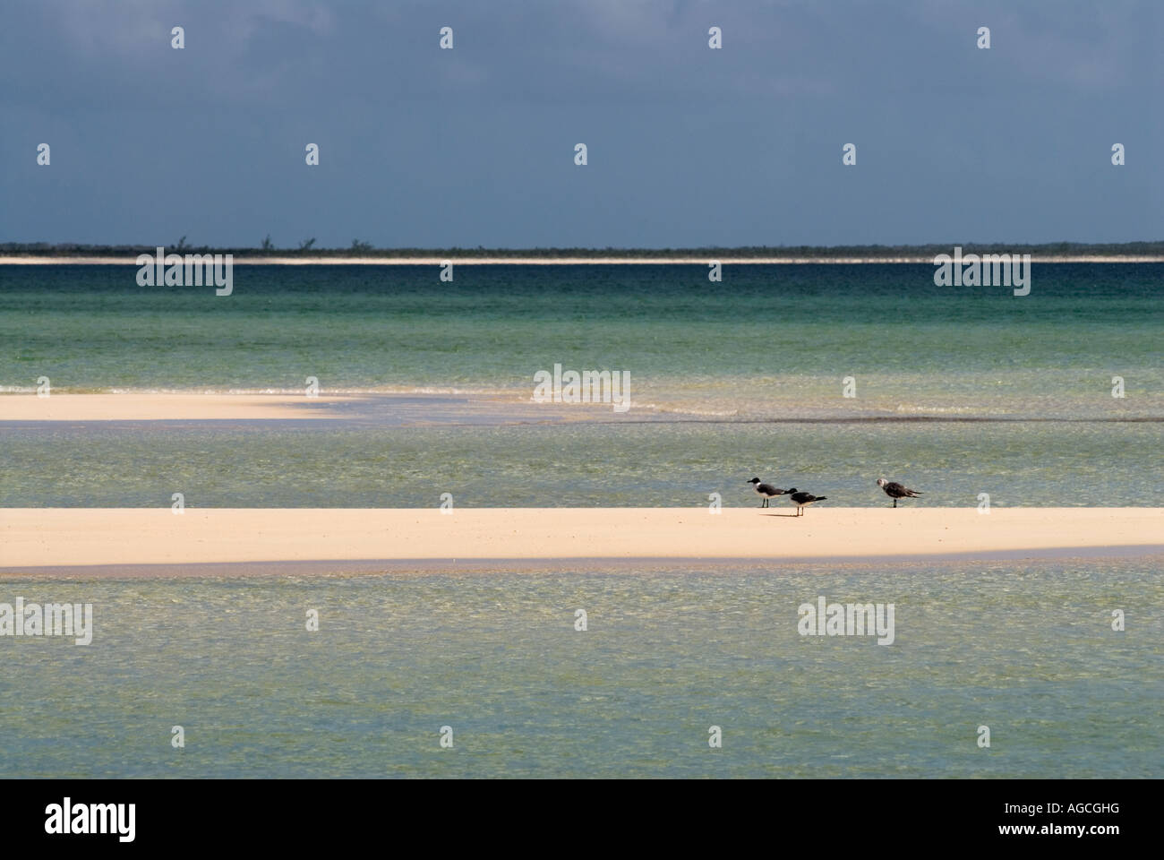 Bahamas banks hi-res stock photography and images - Alamy