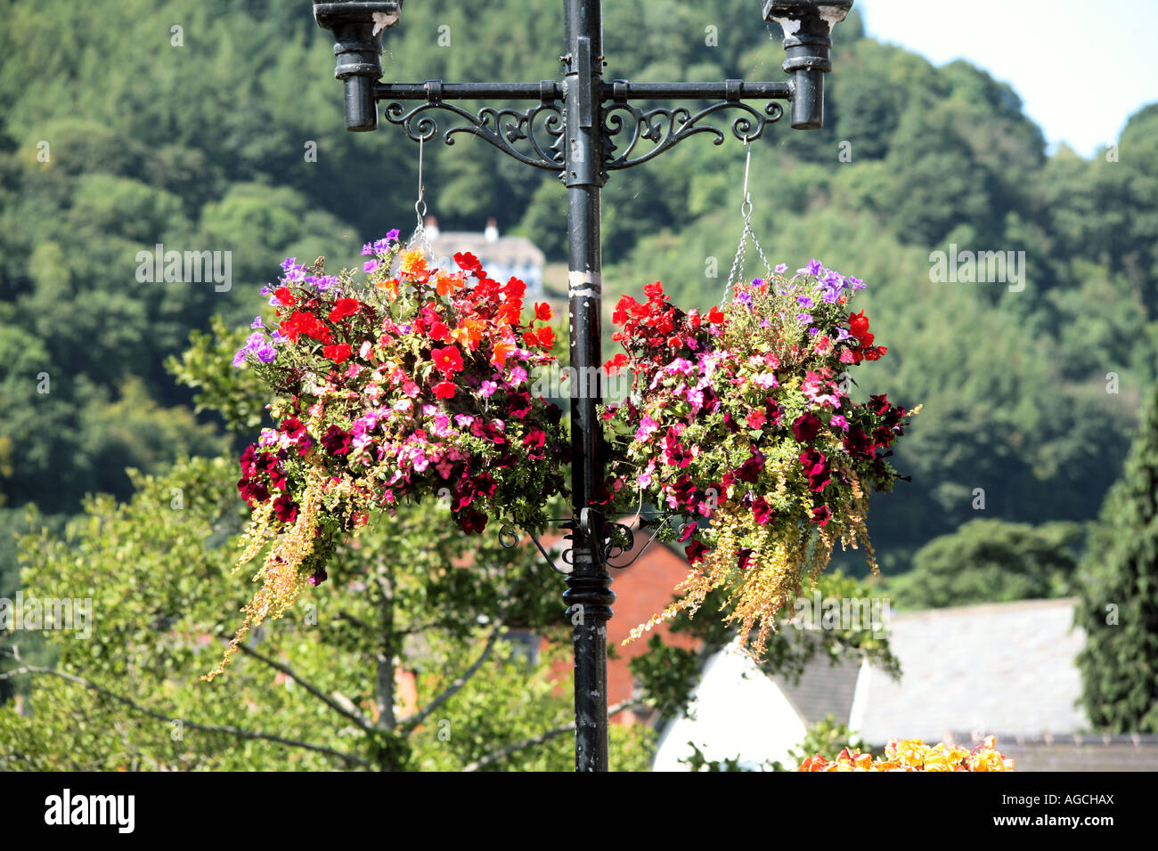 Pair of Hanging Baskets Stock Photo - Alamy