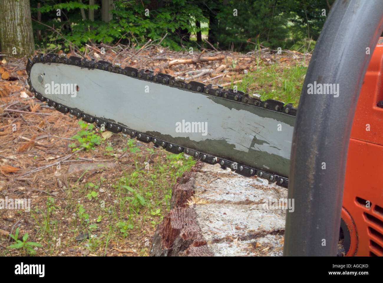 Logging dangers hi-res stock photography and images - Alamy
