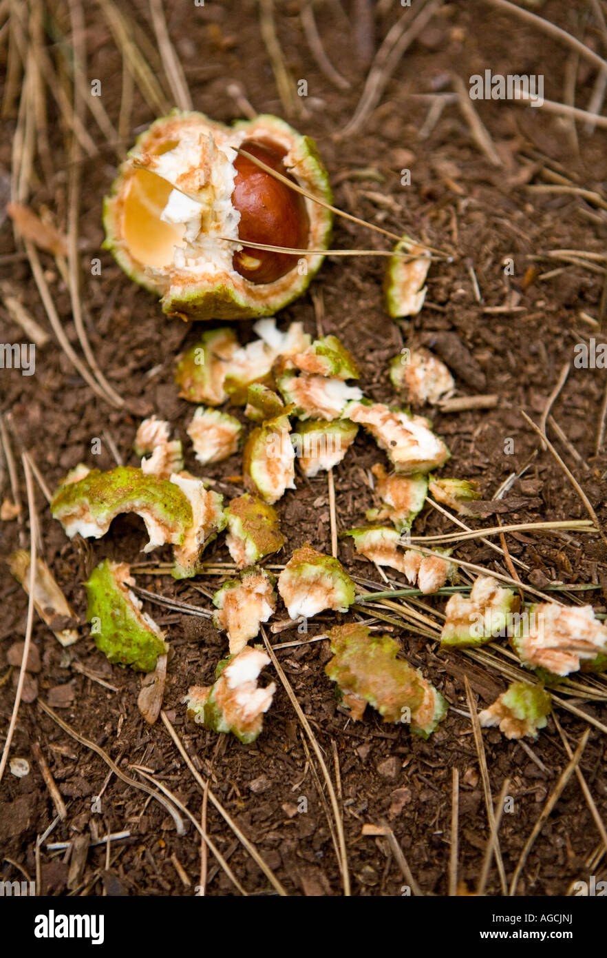 animal feeding sign Stock Photo - Alamy