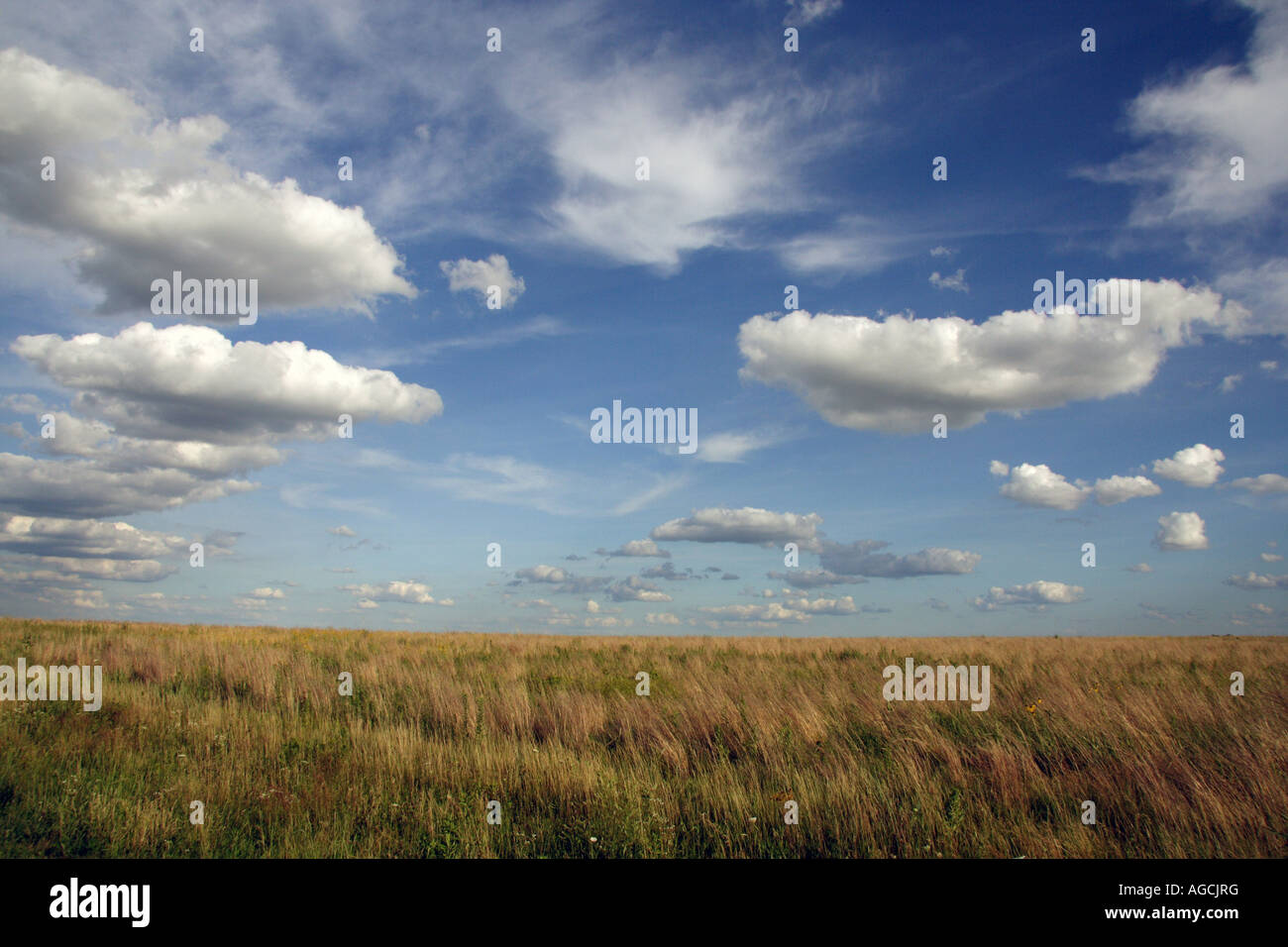 Blue Sky and white clouds at Springbrook Prairie Forest Preserve Stock ...