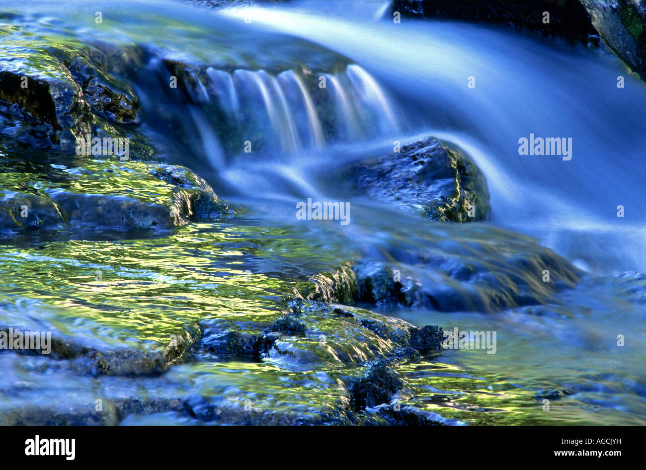 stream Mount Rainier Mount Rainier National Park Washington USA Stock ...