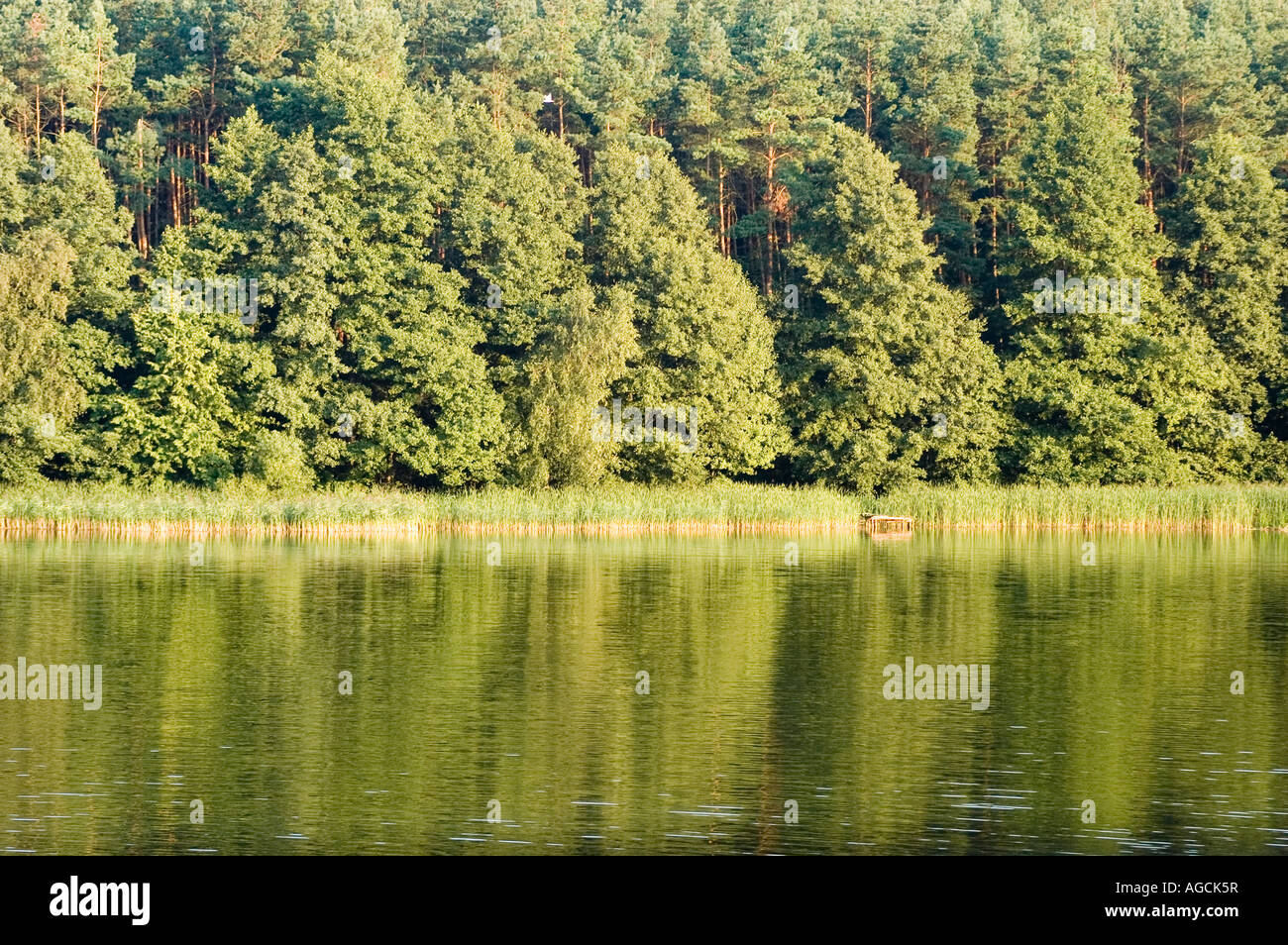 Masurian lakes hi-res stock photography and images - Alamy