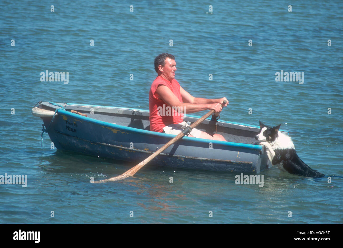 A man rowing a dinghy or boat tender with a collie sheepdog in tow ...