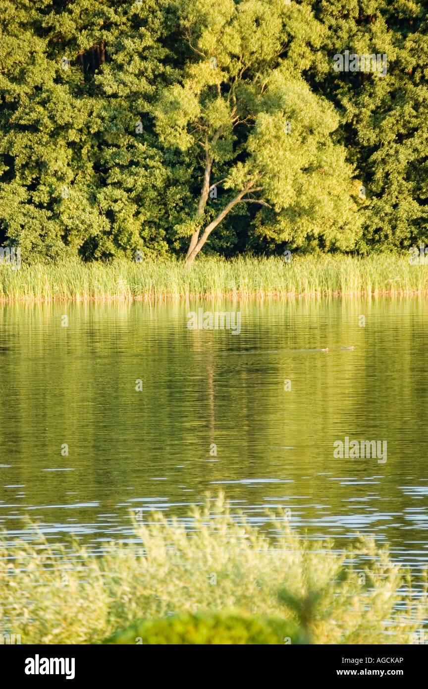 Masurian lakes hi-res stock photography and images - Alamy