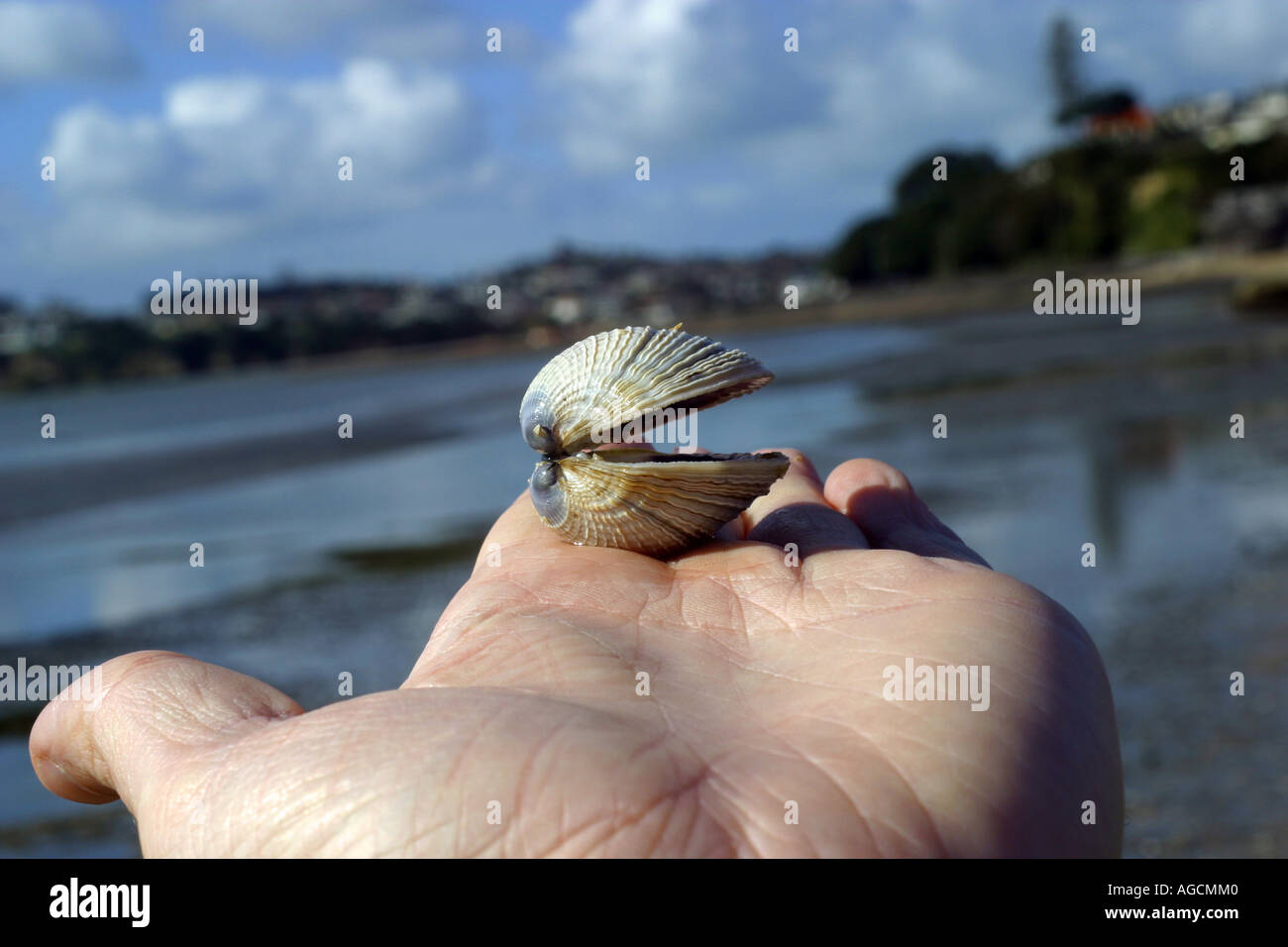 Open air character relaxing hi-res stock photography and images - Alamy
