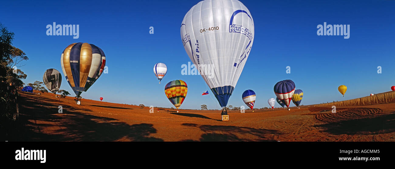 Balloons coming in for early morning landing, World ballooning ...