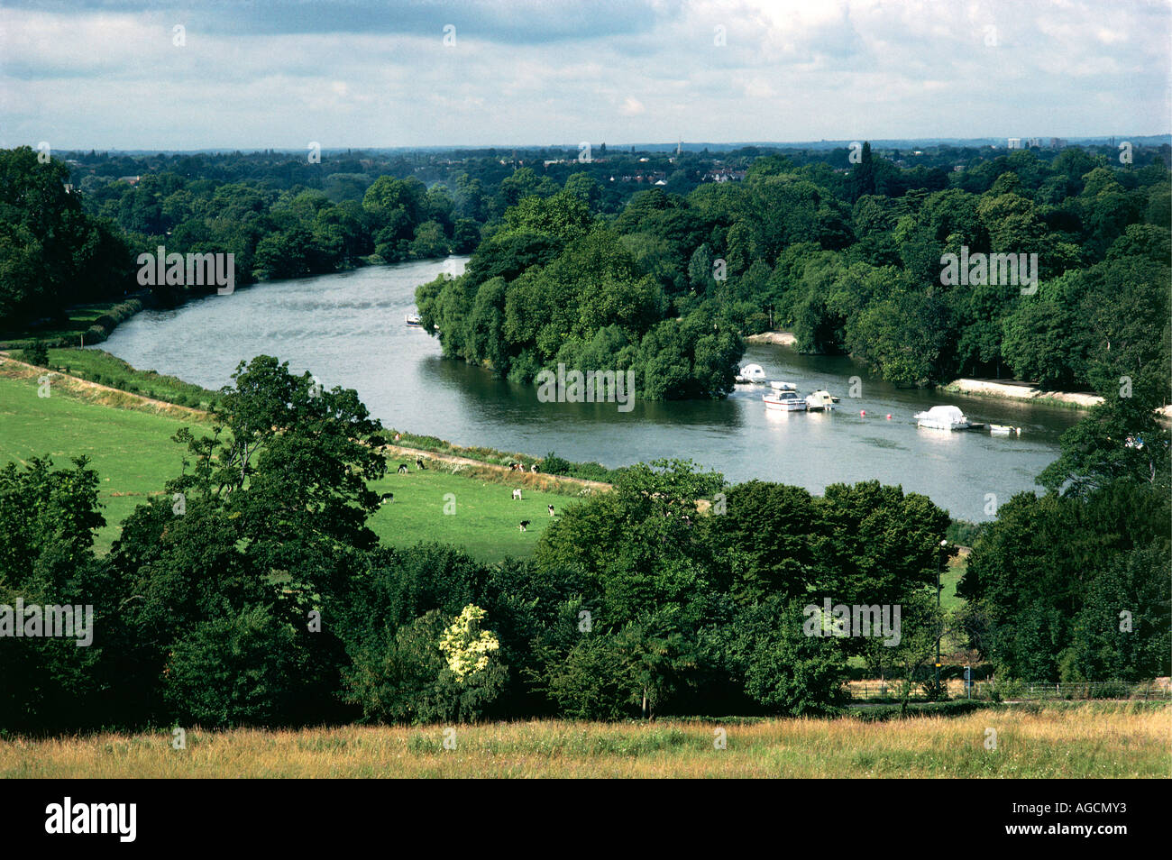 A view from Richmond Hill down to the River Thames and the trees of ...