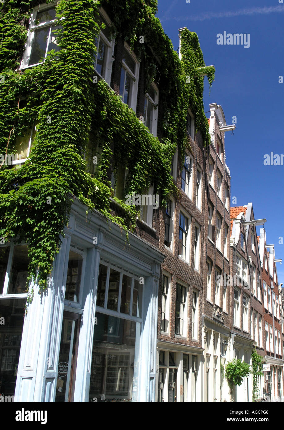 Row of Houses in an Amsterdam street Stock Photo - Alamy