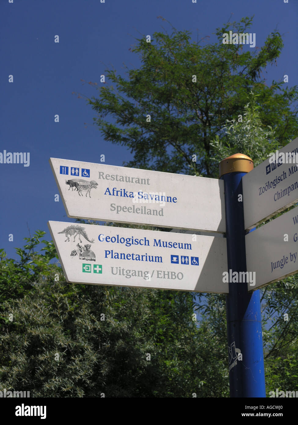 Dutch amsterdam zoo hi-res stock photography and images - Alamy