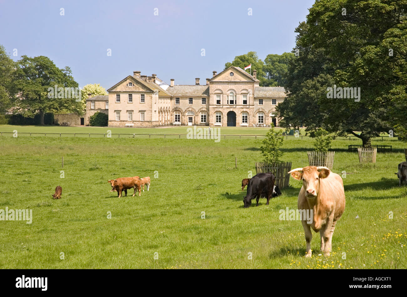 Hovingham Hall North Yorkshire UK Stock Photo - Alamy
