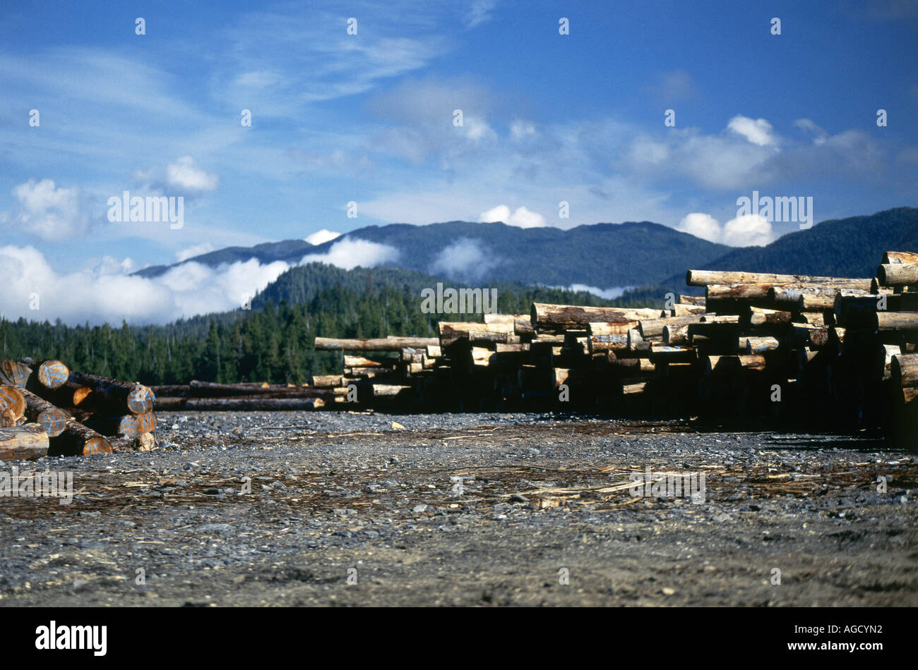 Rupert wood hi-res stock photography and images - Alamy