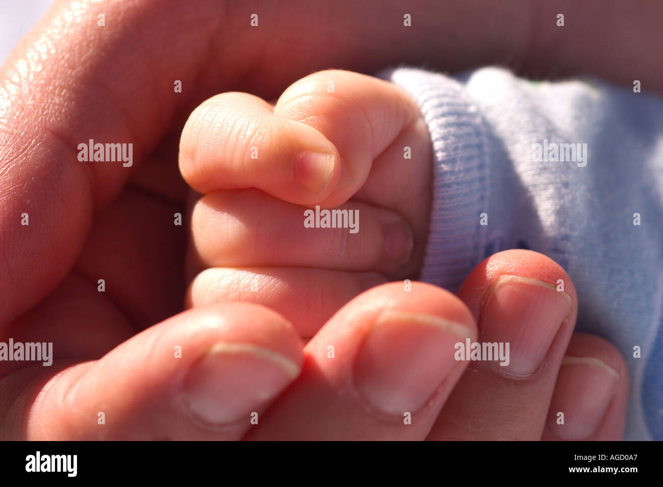 holding infant hand Stock Photo - Alamy