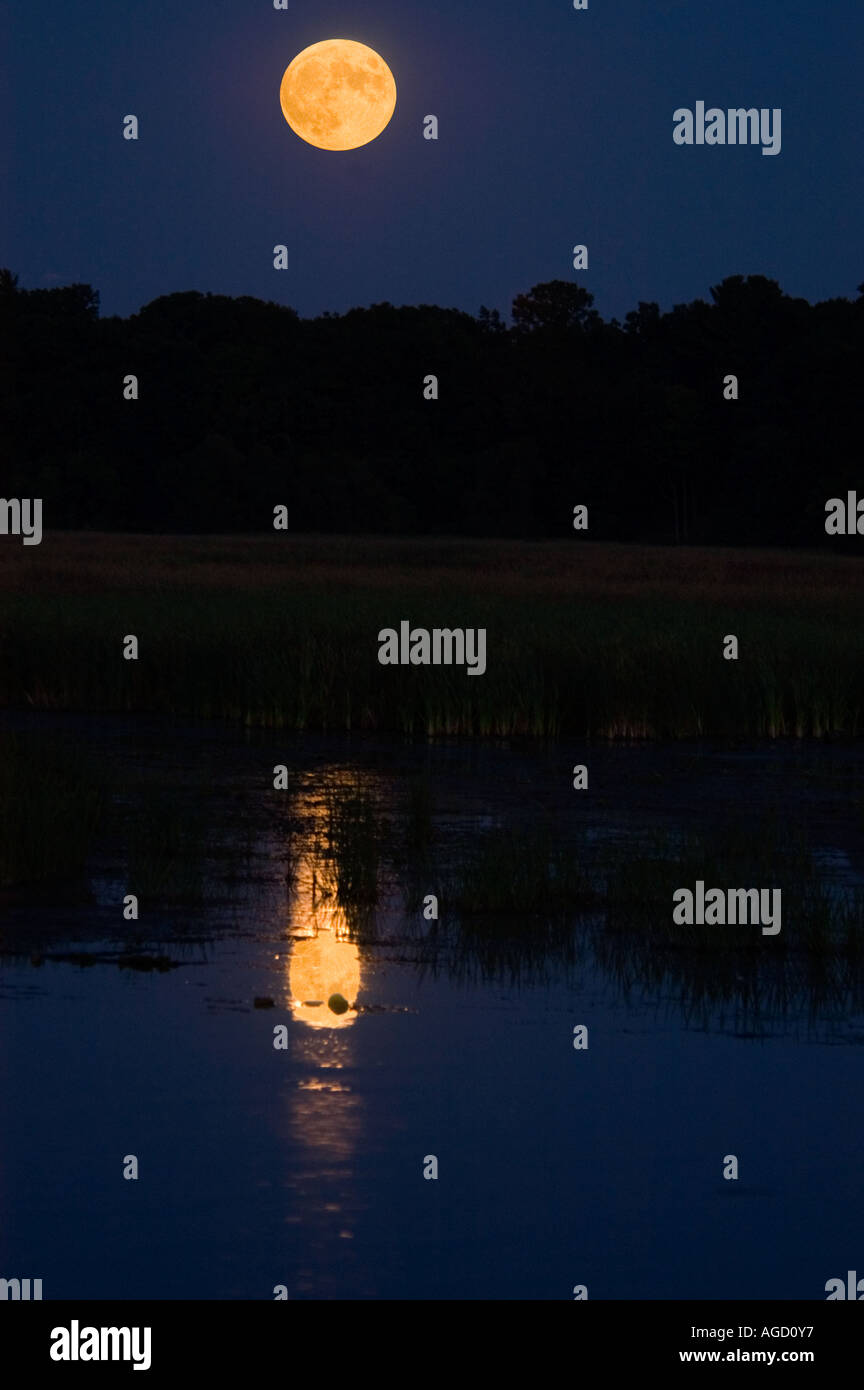 Delta moon hi-res stock photography and images - Alamy