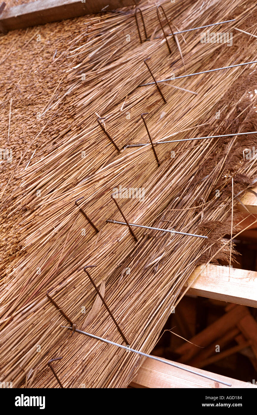 Thatching a cottage Stock Photo - Alamy