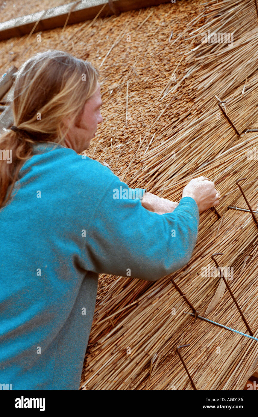 Thatching a cottage Stock Photo - Alamy