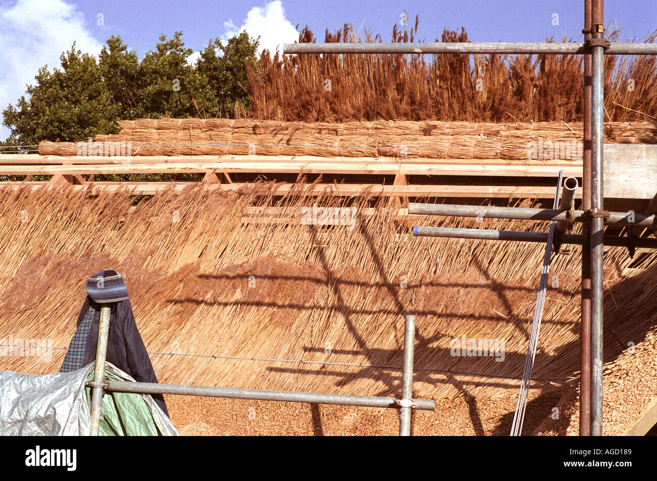 Thatching a cottage Stock Photo - Alamy
