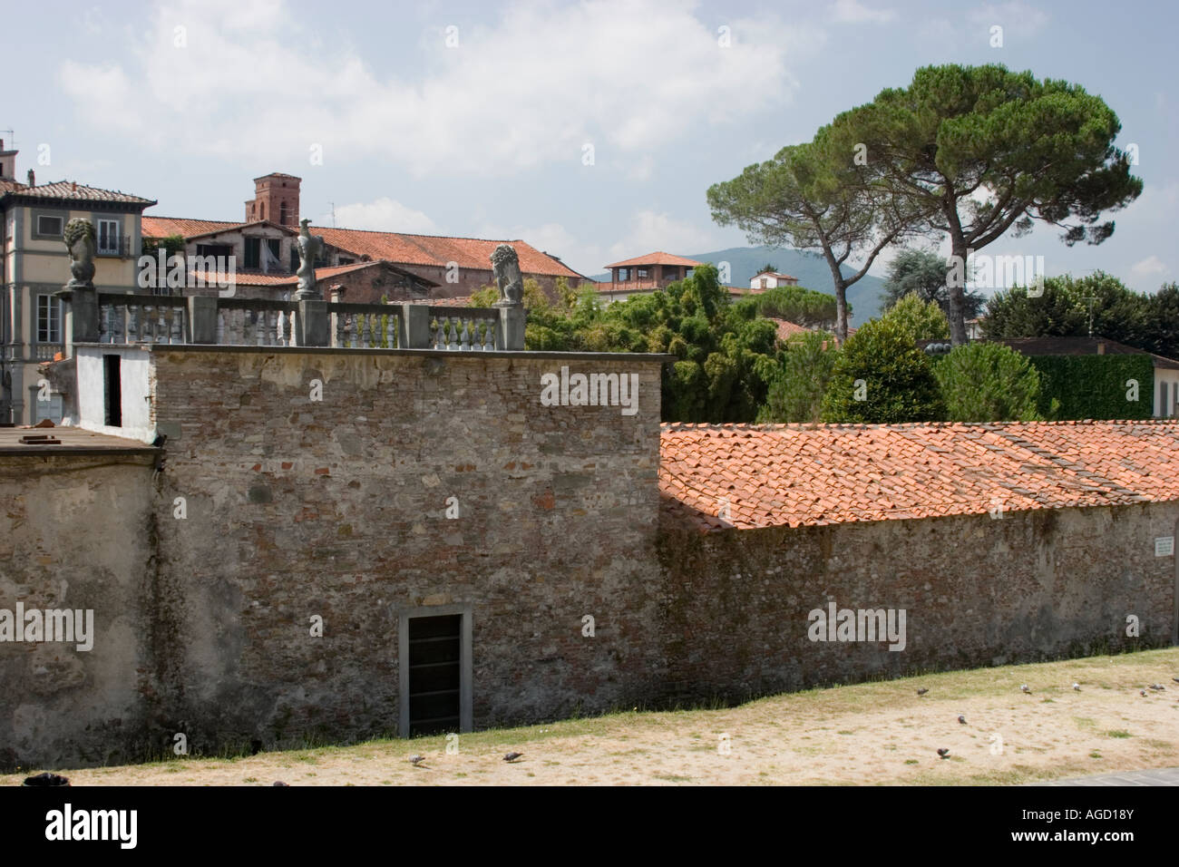 A building on the Lucca wall in Lucca, Italy Stock Photo - Alamy