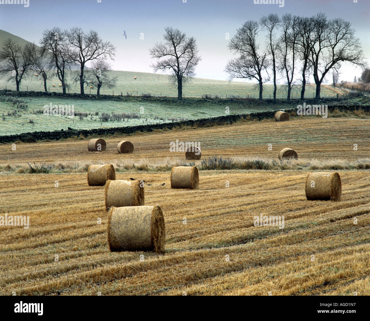 Autumn field hill graphic hi-res stock photography and images - Alamy