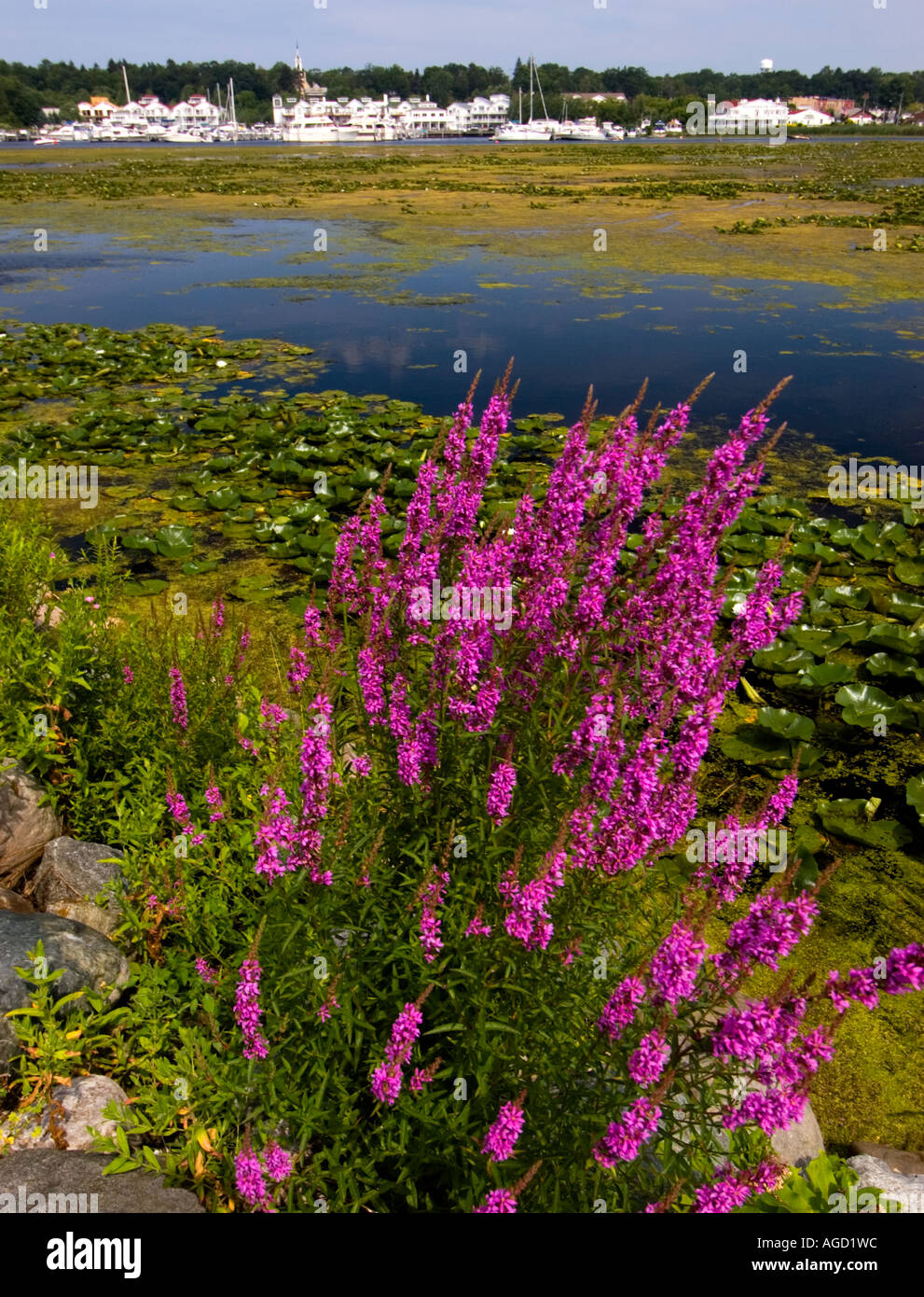 Edge loose hi-res stock photography and images - Alamy