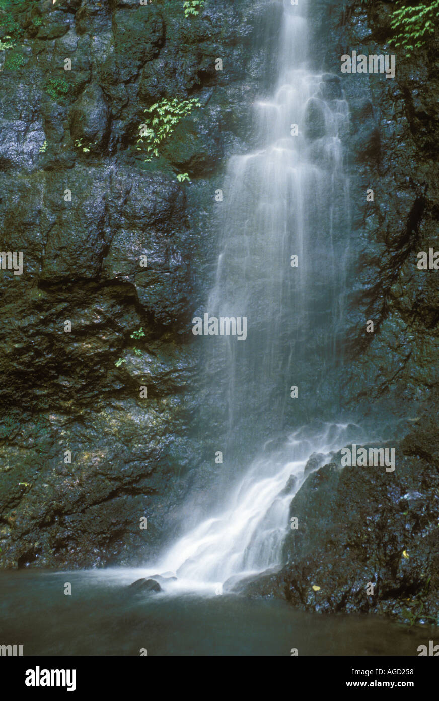 Silver Creek Falls in Palmerston national park part of rainforest ...