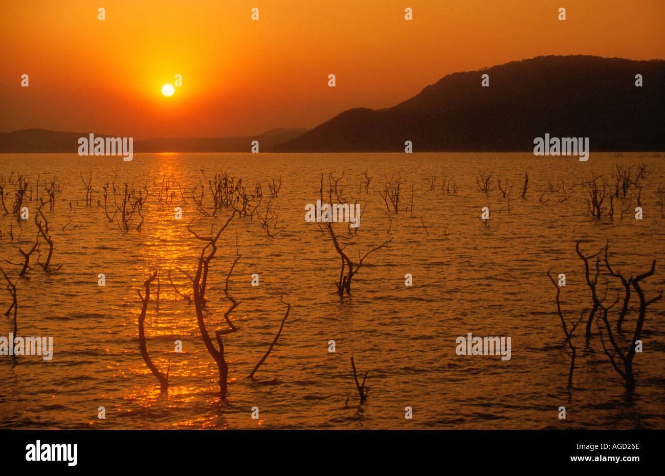 Tops of trees protruding from Lake Kariba on the Zimbabwe Zambia border ...