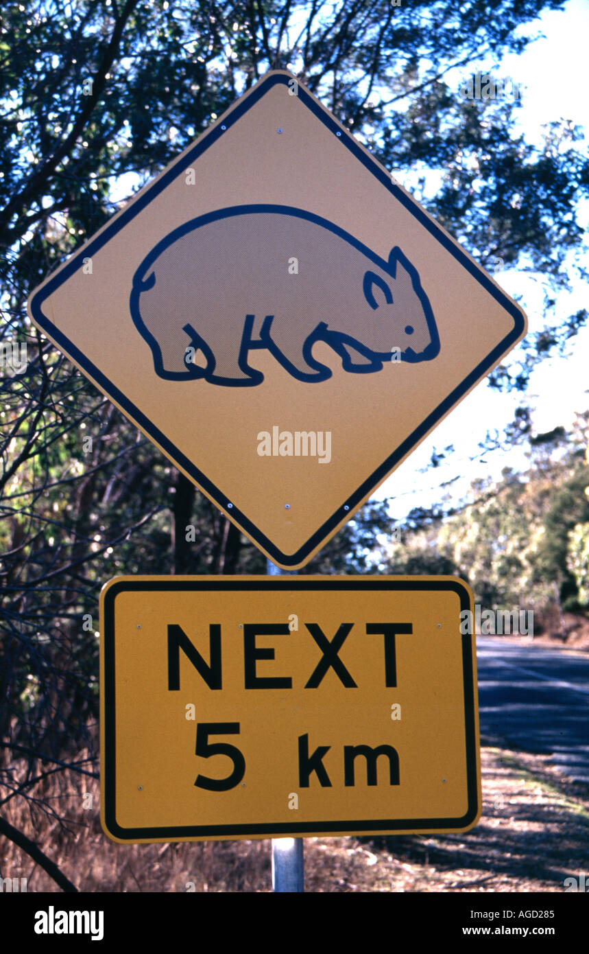 Australian roadsign warning of wombats on the road Stock Photo - Alamy