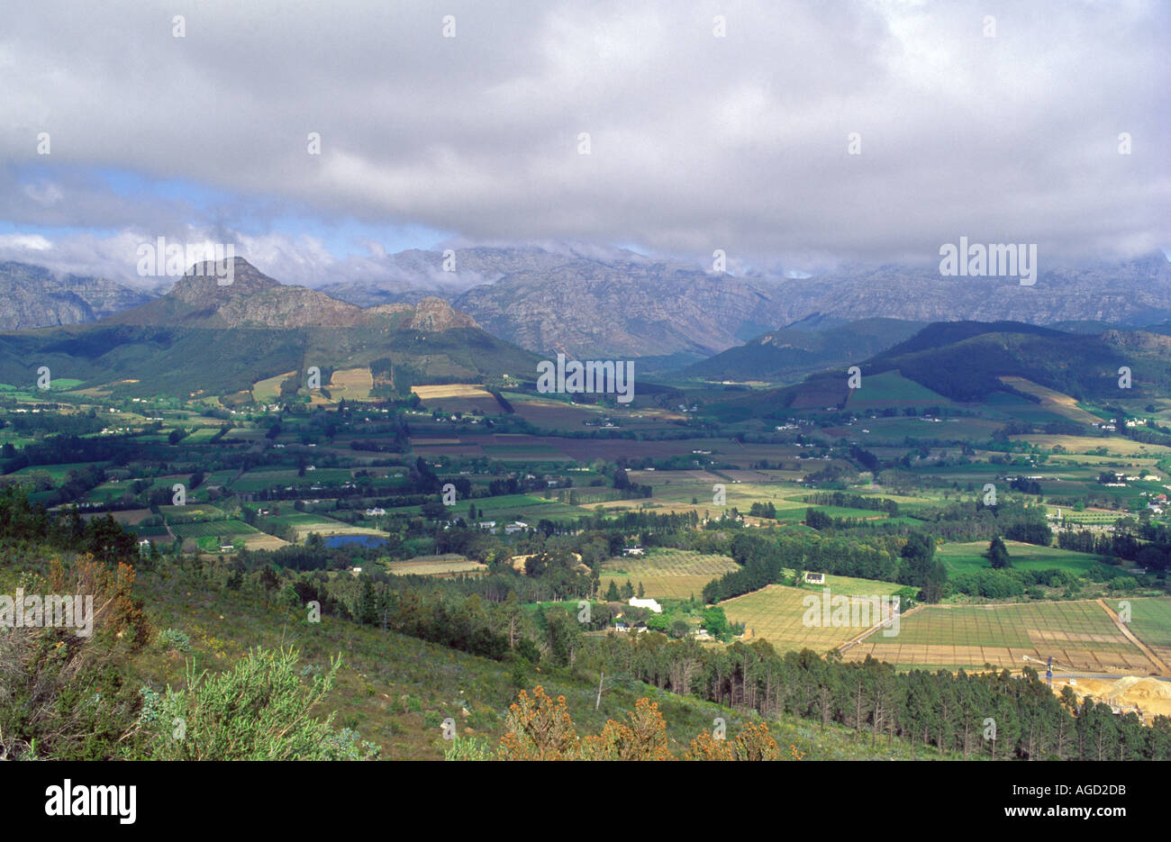 Franschhoek Valley Cape Wine Region South Africa Stock Photo - Alamy