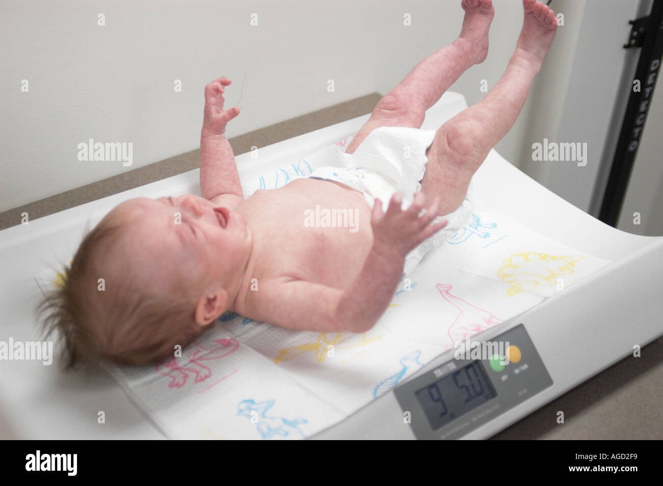 Baby being weighed hi-res stock photography and images - Alamy
