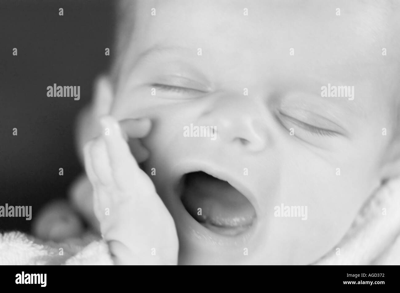 Black and white headshot of baby 0 to 3 months Stock Photo - Alamy
