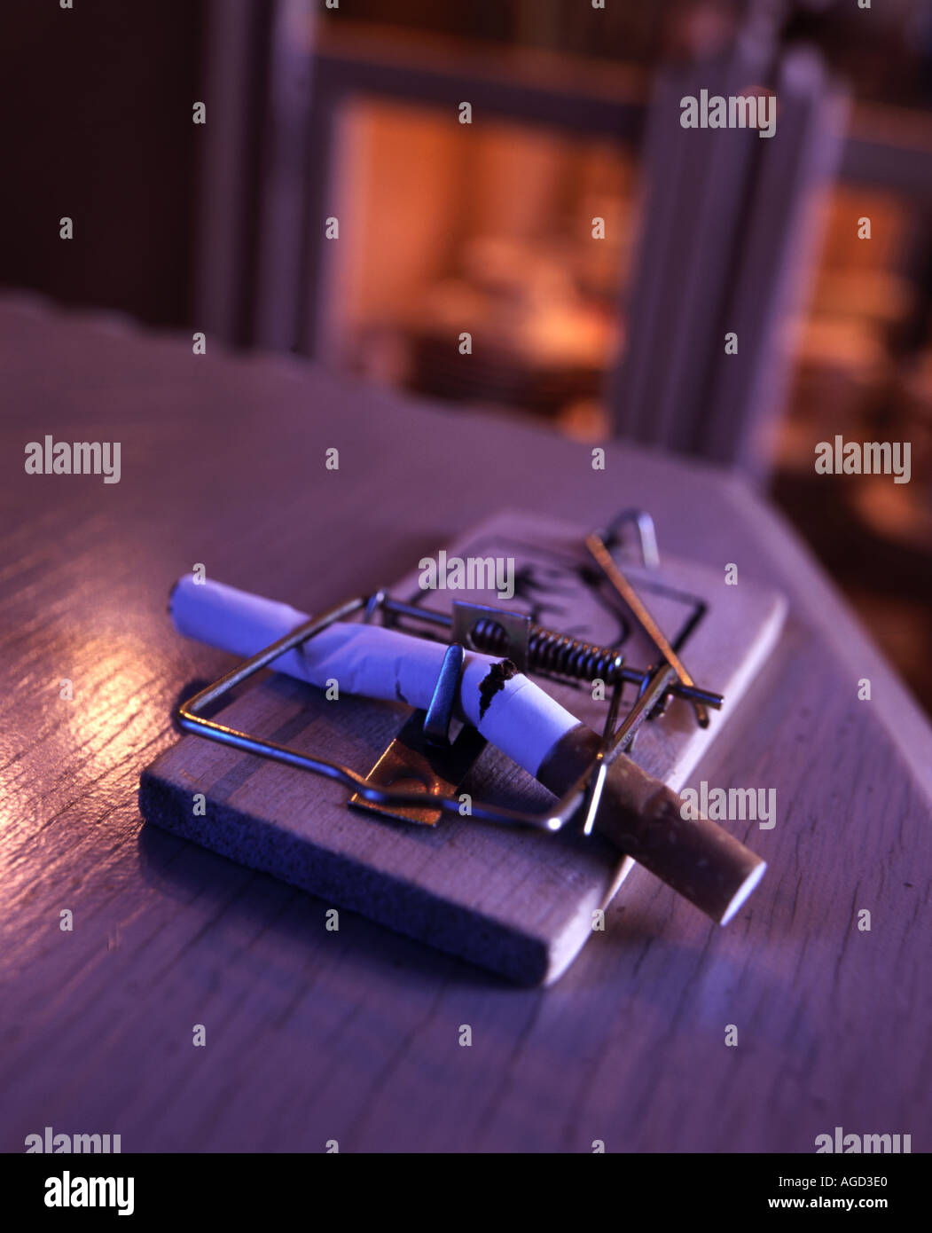 Broken mouse trap hi-res stock photography and images - Alamy