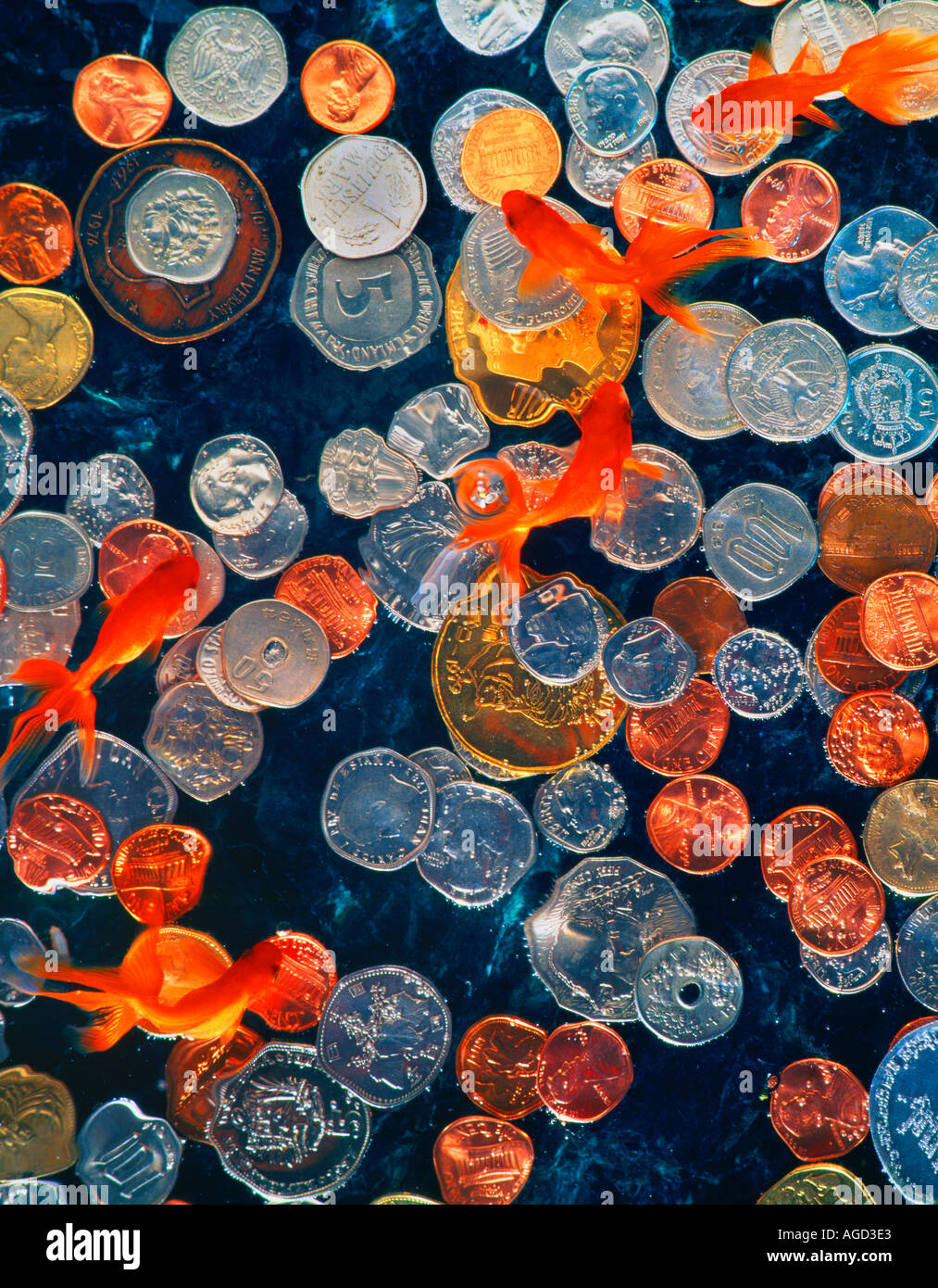 International coins with gold fishes Stock Photo - Alamy