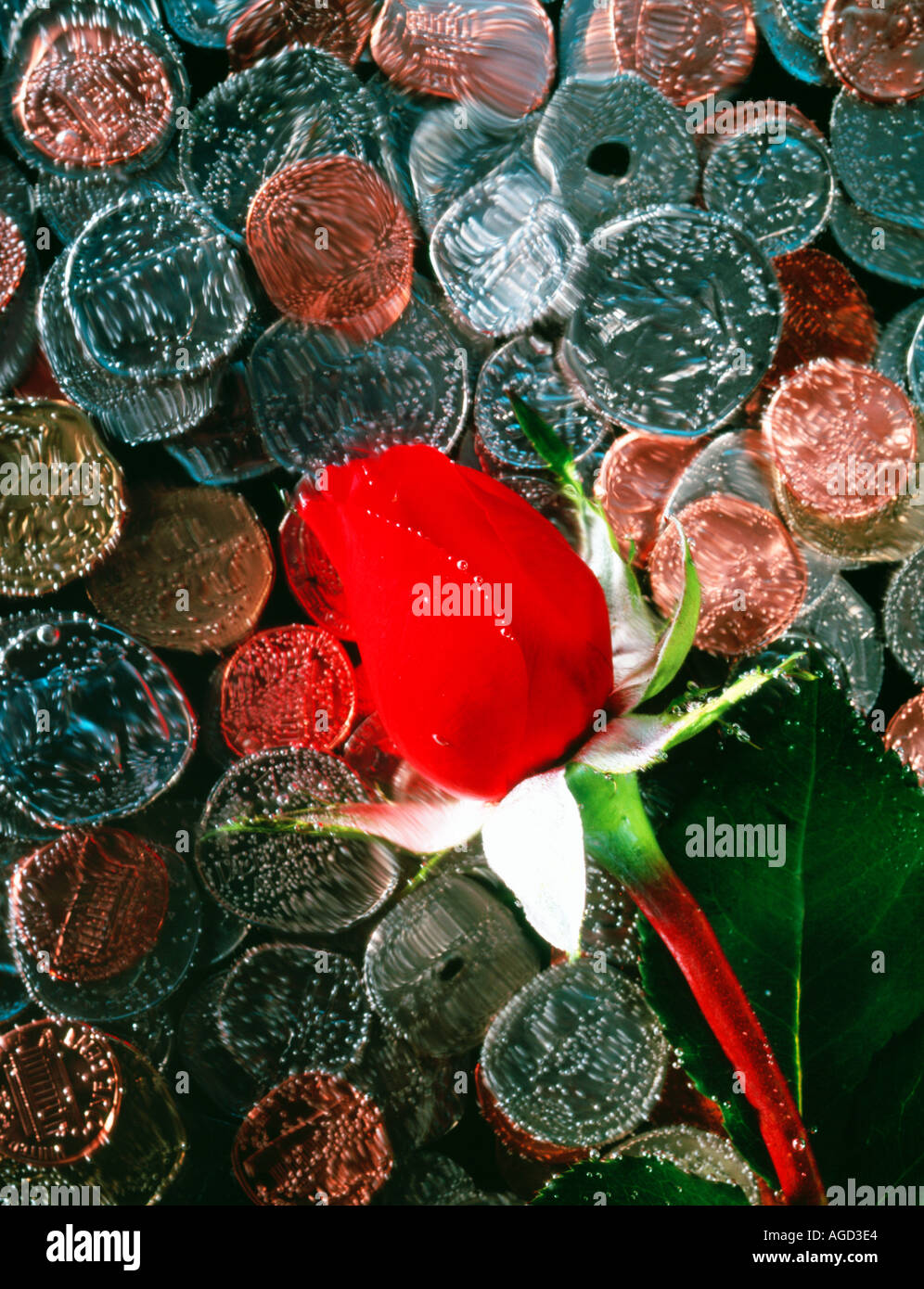 Lost lease hi-res stock photography and images - Alamy